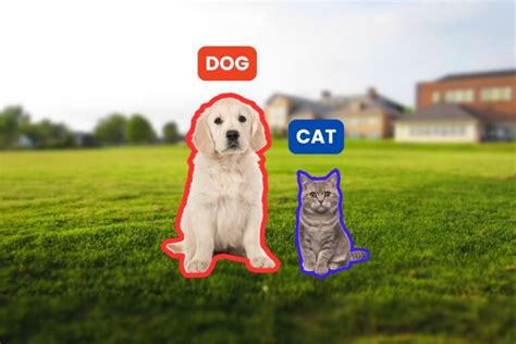 What Is Data Annotation Types Benefits And Uses