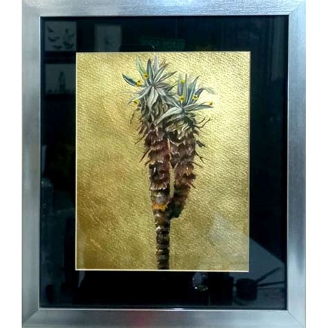 Frailejón Páramo Del Sol Soyarte