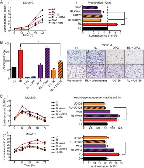 Erk12 And Aktpkb Are Crucial Downstream Effectors Of Rank Signaling