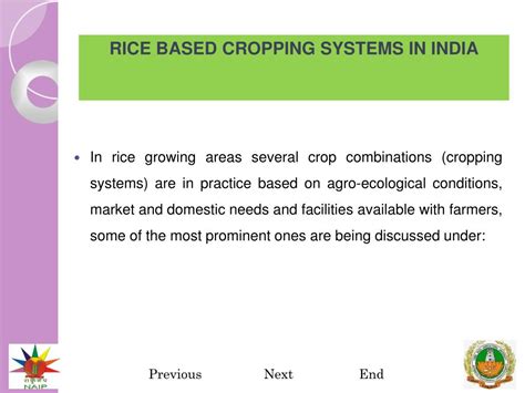 Ppt Inter And Sequential Cropping Crop Rotation In Rice Powerpoint Presentation Id5100431