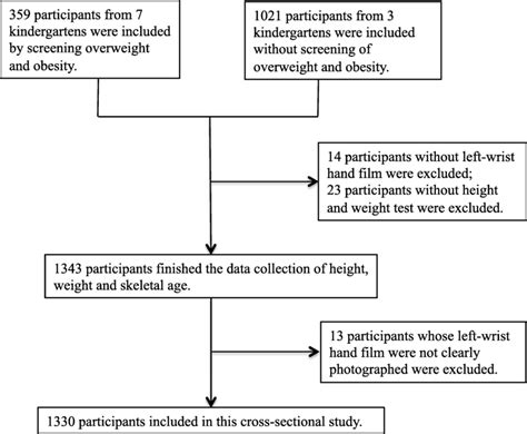 Flowchart Of Sample Selection Information Download Scientific Diagram