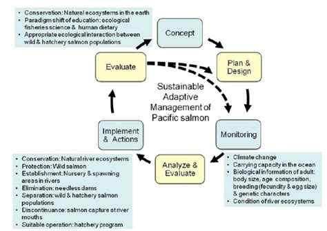 Conceptual Diagram Showing Components Of A Plan For Sustainable