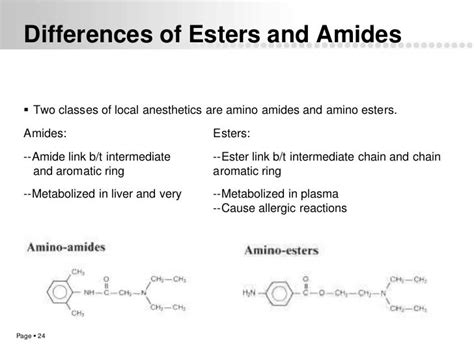 Ester Local Anesthetics Dental At Clifford Zak Blog
