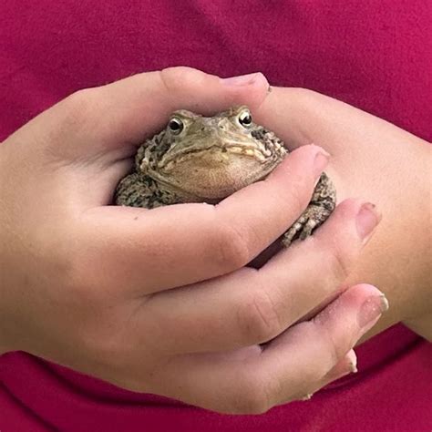 Alayna Rench Youtube