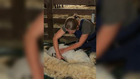 Wat Is Er Dit Weekend Te Doen In Drenthe Rtv Drenthe