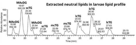 Lipid Imaging Lipid Insight
