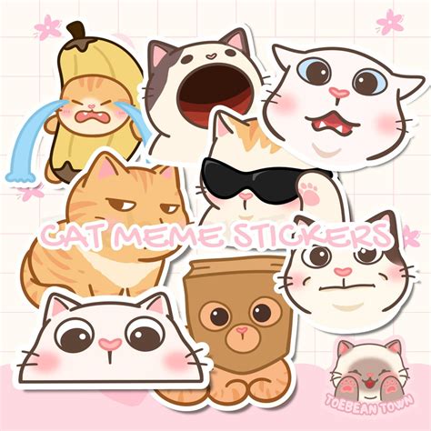 Cat Meme Stickers Funny Internet Tik Tok Cat Memes Derpy Silly
