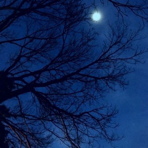 The Midnight Class Youtube