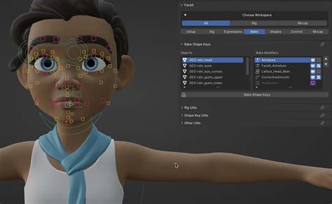 Bake Faceit Documentation