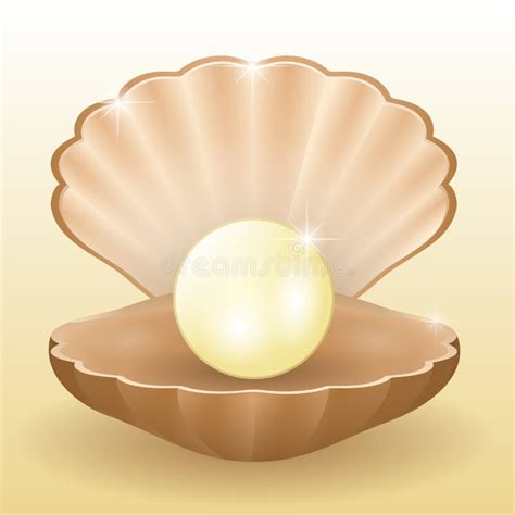 Shining White Pearl Shell Sea Sandy Background Stock Illustrations 2