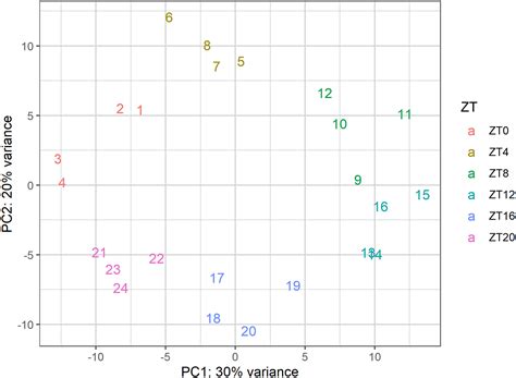 Circadian Transcriptome Processing And Analysis A Workflow For Muscle Stem Cells Sica 2023