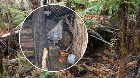 New De Extinction Project Plans To Bring The Moa Back To Life In 8 Years Rova