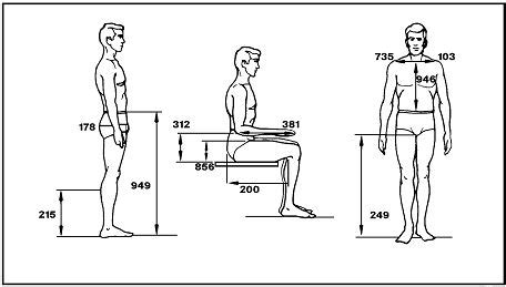 12 Anthropometry Ideas Human Dimension Stage Set Design Human