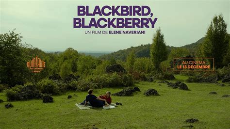 შაშვი შაშვი მაყვალი Shashvi Shashvi Maqvali Blackbird Blackbird Blackberry
