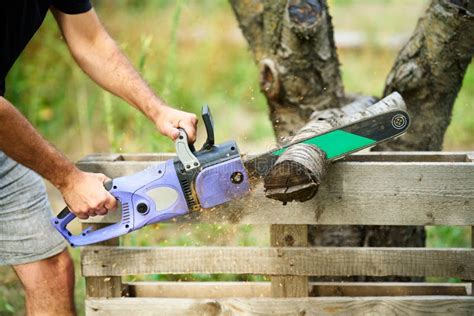 Close Up Of Man Cutting Trees Using Electrical Chainsaw In Motion Stock