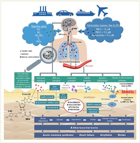 Causes Of Air Pollution Photo