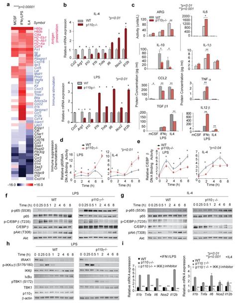 Pi3kγ Is A Molecular Switch That Controls Immune Suppression Pmc