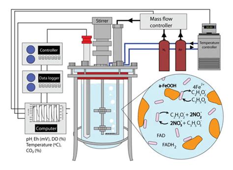 Mini Parallel Bioreactor Systems Multi Parallel Bioreactor For Sale