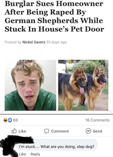 Step Dog Meme By Adman1381 Memedroid