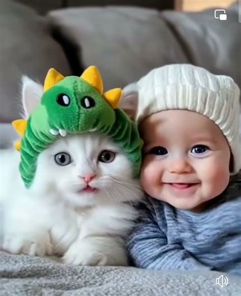 The Cute Team Youtube