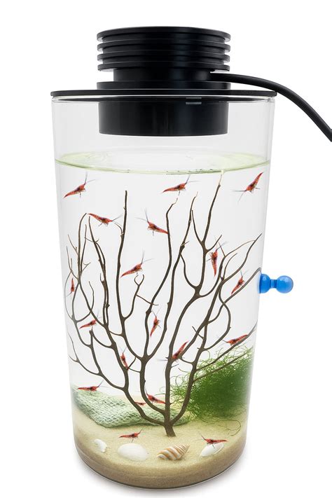 Shrimp Ecosphere Self Sustainable Ecosystem