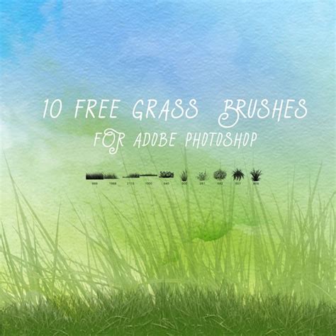10 Free Grass Brushes Photoshop Brushes