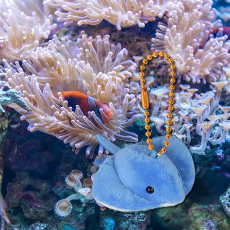 Kuromi Sweetie Kawaii