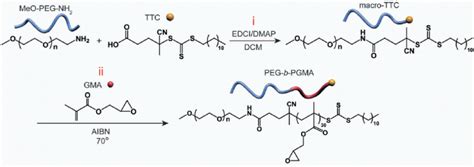 Schematic Illustration Of The Synthesis Of The Peg B Pgma Copolymer