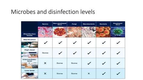 Spauldings Classification Ppt By Dr C P Prince Pptx Infectious