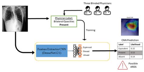Bioengineering Special Issue Applications Of Computational Modeling