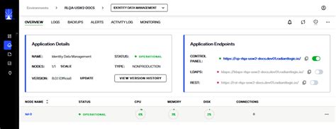 Update An Environment Radiant Logic Documentation