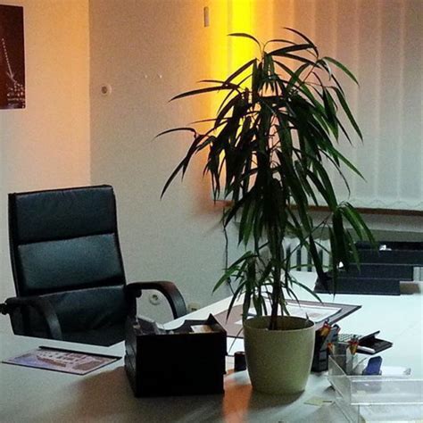 K Wittmann Immobilienmakler Wittmann And Ebert Immobilien Xing