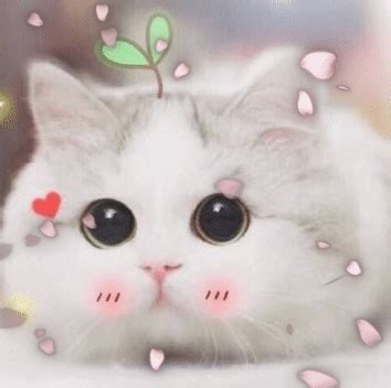 Cute  Cute  탐색 및 공유