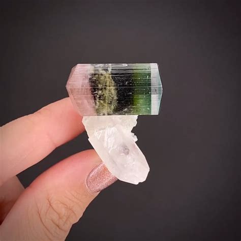 Elbaite Tourmaline With Quartz And Albite Sm20 439 Stak Nala