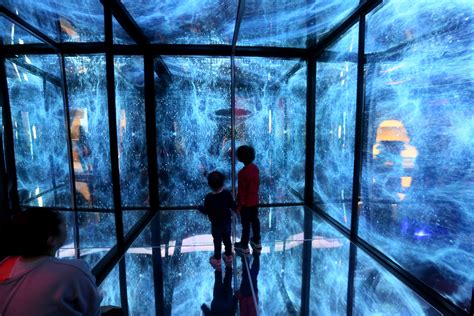 Birch Aquarium Artofit
