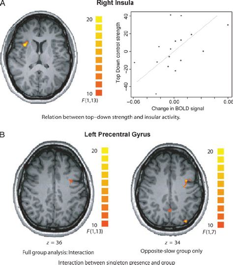 Relation Between Brain Activity And Attentional Control A