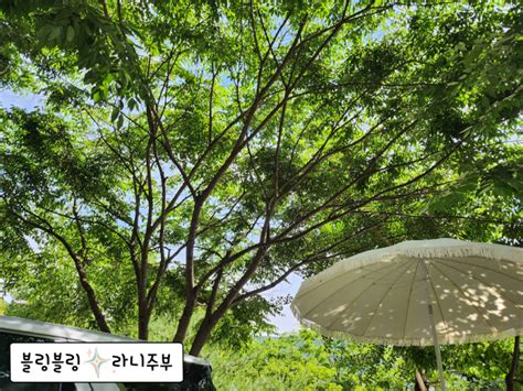 오토캠핑장 하동 힐링파크 추천해요 네이버 블로그