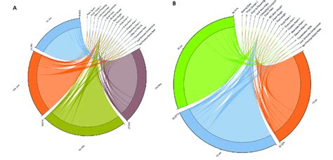 Chord Diagram Showing Contribution Of Sowing Date A Plant Spacing B