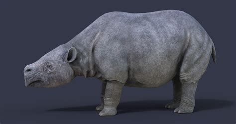 Toxodon 3d Model Turbosquid 1806674