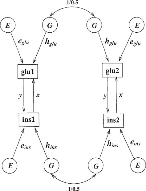 Reciprocal Causation Model For Glucose And Insulin Observed Phenotypes Download Scientific