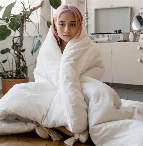 Queen Full Comforter Lbidreammakers