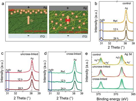 Ion‐migration‐suppression Investigation Under Electric Field A