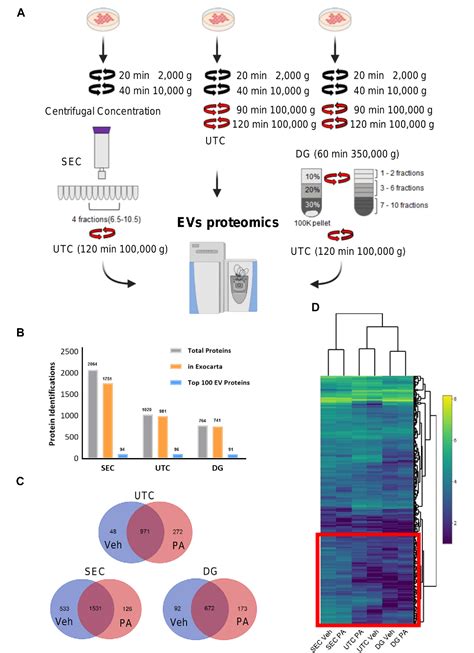 Figure 1 From A Comparative Proteomic Analysis Of Extracellular