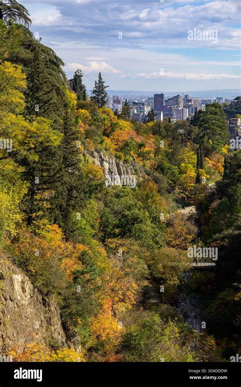 Autumn Foliage In The National Botanical Garden In Sololaki Hills In