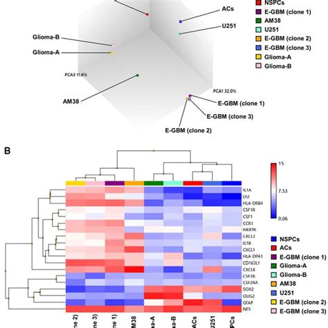 Microarray Analysis Pca A And Heat Mapping Analysis B Were Download Scientific Diagram