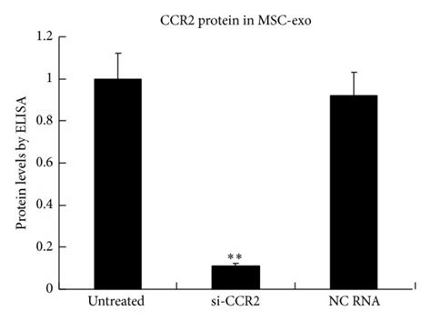 Ccr2 Knockdown Msc Derived Exosomes Failed To Bind Ccl2 A Ccr2