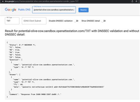 unable to query dns error · issue 222 · open attestation oa verify