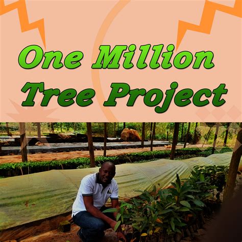 One Million Tree Project Globalgiving
