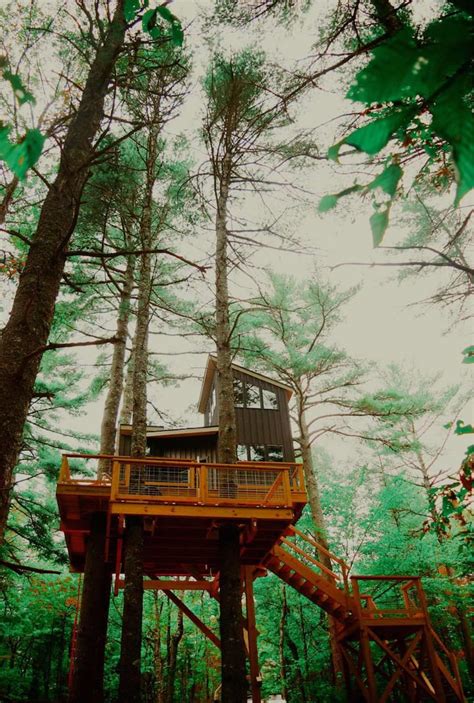Breeze In A Tree The Appleton Retreat Treehouses For Rent In