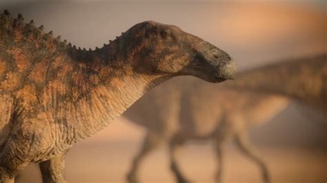 Barsboldia Paleo Media Wiki Fandom